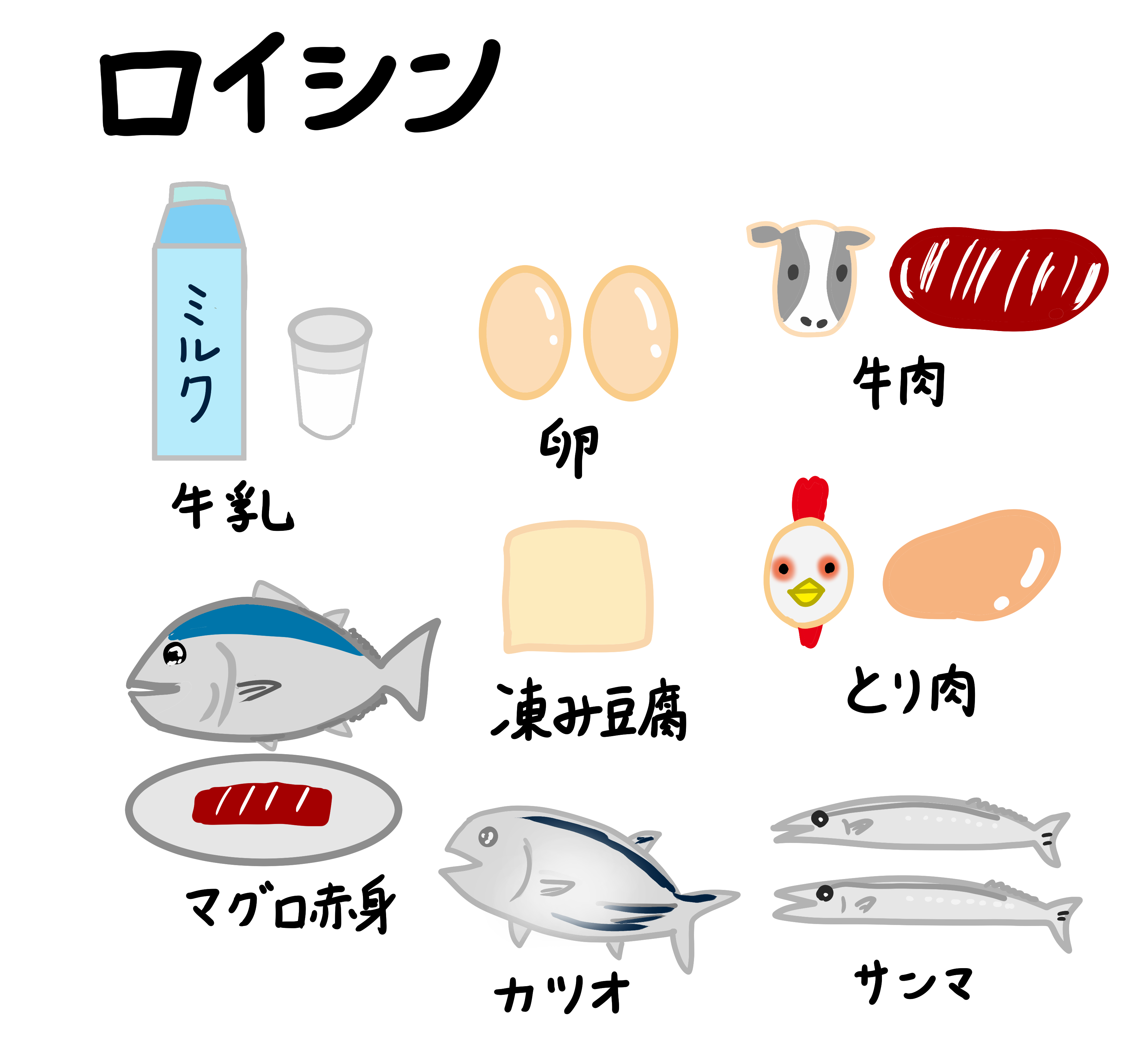 ダイエットの秋到来！ 運動前後って何を食べらた良いの？ | ｜栄養家庭教師の「マイコーチ」